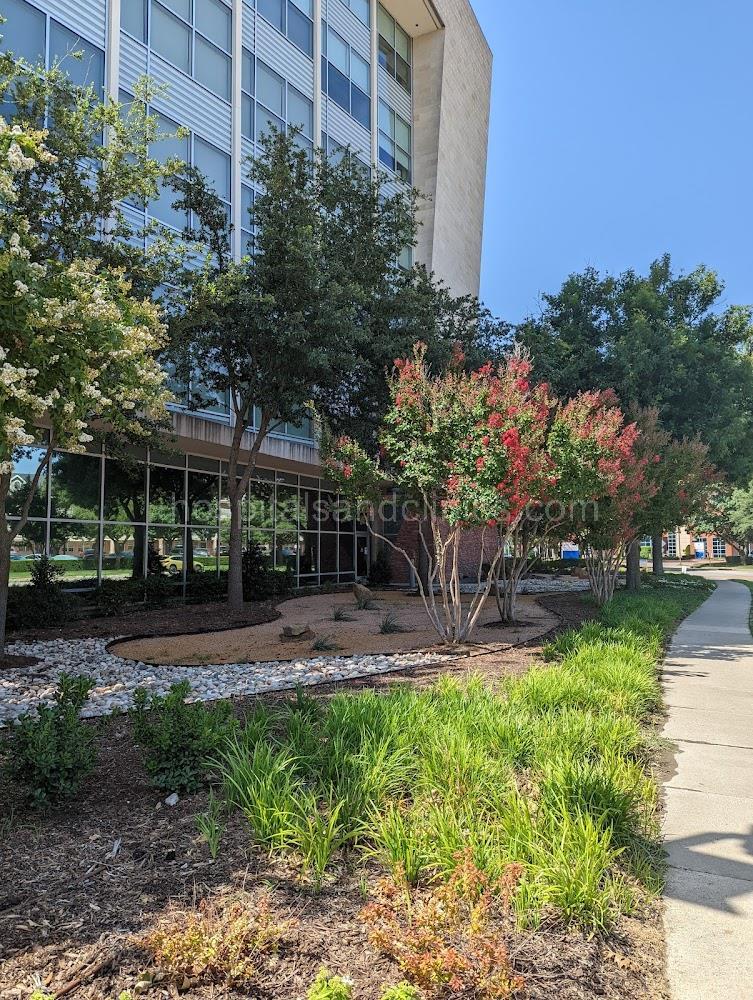 Baylor Scott & White Medical Center Plano – Plano, TX | Contact ...